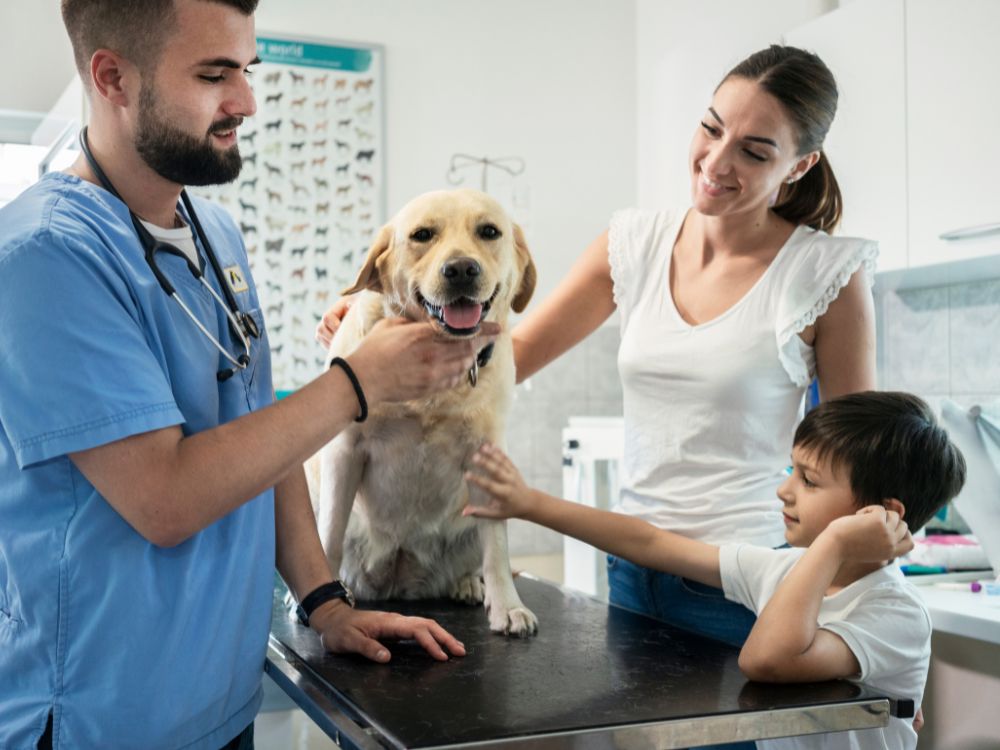 Dog Sitting On Exam Table With Vet And Family – Mosaic PetCare