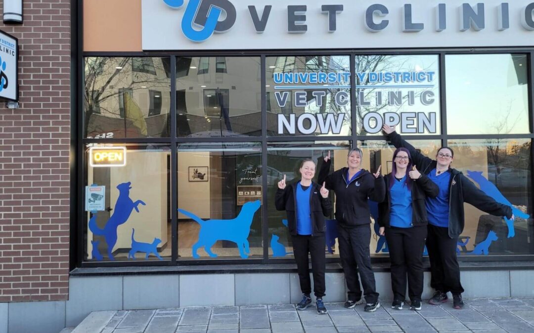 University Vet Clinic Building Front And Team – Mosaic PetCare